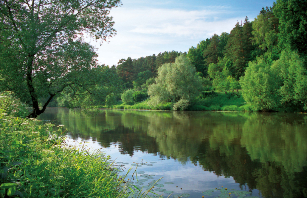 Fluss / Altwasser / Aue / Kanal - Fisch - Heintges eLearning