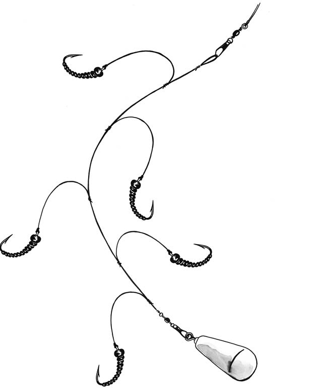 Spezialvorfächer: Hegene - Fisch - Heintges eLearning